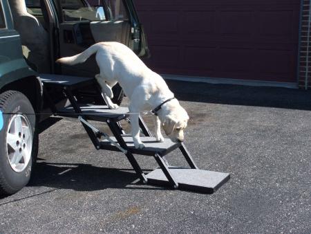 Dog Steps - Portable, Foldable - Pet Loader - Made in USA | Sabi Pets